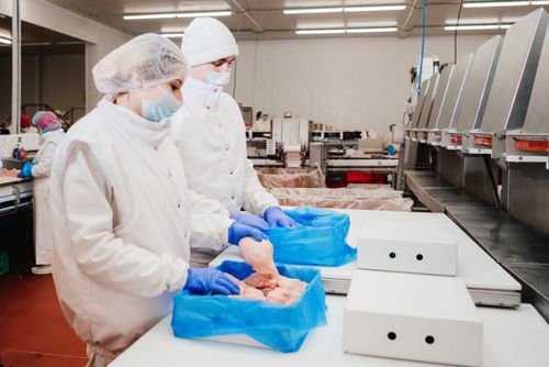 Nieuws | Het Juridisch Loket